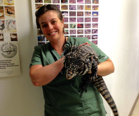 Critter Care Animal Hospital